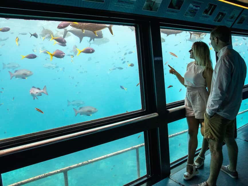 Cairns: Great Barrier Reef Pontoon - Indulgence Package - What’s Included and What’s Not