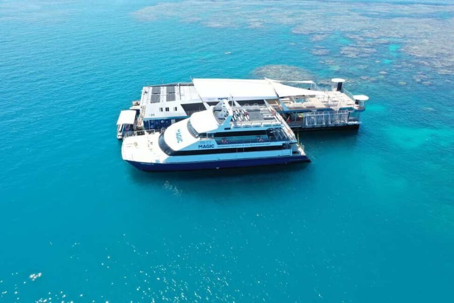 Cairns: Great Barrier Reef Pontoon with Water Activities - What Could Be Better?