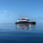 Cairns: Great Barrier Reef Snorkeling Cruise with Lunch - What We Loved About This Tour