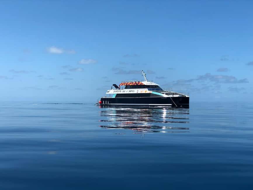 Cairns: Great Barrier Reef Snorkeling Cruise with Lunch - What We Loved About This Tour