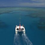Cairns: Great Barrier Reef Snorkeling Tour with Lunch - Key Points