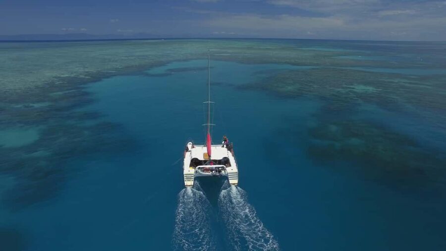 Cairns: Great Barrier Reef Snorkeling Tour with Lunch - Key Points
