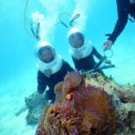 Cairns: Green Island and Seawalker Helmet Dive Combo - Key Points