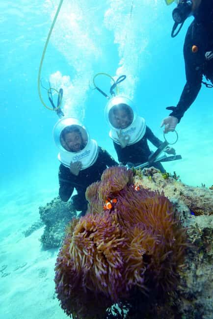 Cairns: Green Island and Seawalker Helmet Dive Combo - Key Points