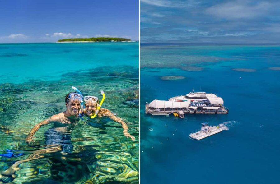 Cairns: Green Island + Moore Reef Activity Platform Combo - A Detailed Look at the Tour
