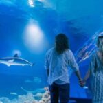Cairns: Hot Air Balloon Flight & Cairns Aquarium Entry - Practicalities and Planning Tips