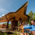 Cairns: Immersive Small Group Indigenous Cultural Experience - Welcome to Country and Cultural Introduction