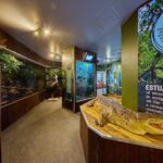 Cairns Koalas & Creatures at the Pier - Is It Worth the Price?