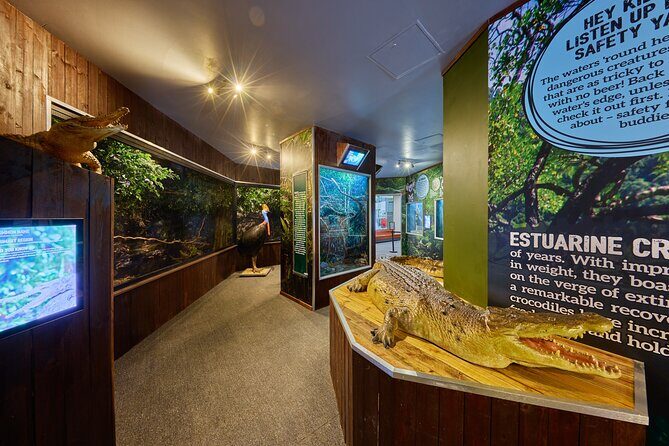 Cairns Koalas & Creatures at the Pier - Is It Worth the Price?