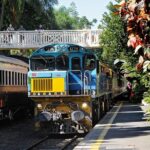 Cairns Kuranda Skyrail and Railway Small group tour - Who Will Love This Tour?