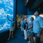 Cairns: Night at the Aquarium Guided Tour - What Do Travelers Say?