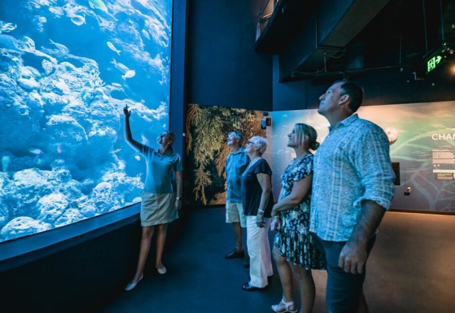 Cairns: Night at the Aquarium Guided Tour - What Do Travelers Say?