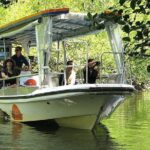 Cairns Reef/Rainforest : Daintree Rainforest & Great Barrier Reef - Exploring Daintree Rainforest and Coastal Highlights