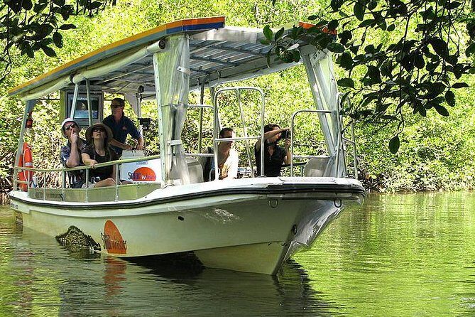 Cairns Reef/Rainforest : Daintree Rainforest & Great Barrier Reef - Exploring Daintree Rainforest and Coastal Highlights