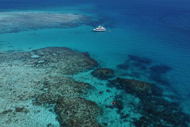 Cairns: Semi-Private | Outer Reef Snorkel & Dunk Island - Transportation, Timing, & Group Size Impact