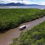 Cairns Sunset Cruise with Indigenous Culture and Canapes - A Well-Balanced Look at the Cairns Sunset Cruise