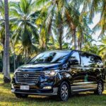 Cairns to Port Douglas ONE WAY Private Transfer 6 pax - The Itinerary and What to Expect