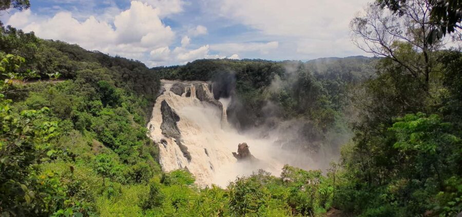 Cairns: Waterfall, Wetlands and Skyrail - Final Thoughts