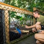 Cairns: Wildlife Habitat, Mossman Gorge, and Daintree Tour - The Overall Value