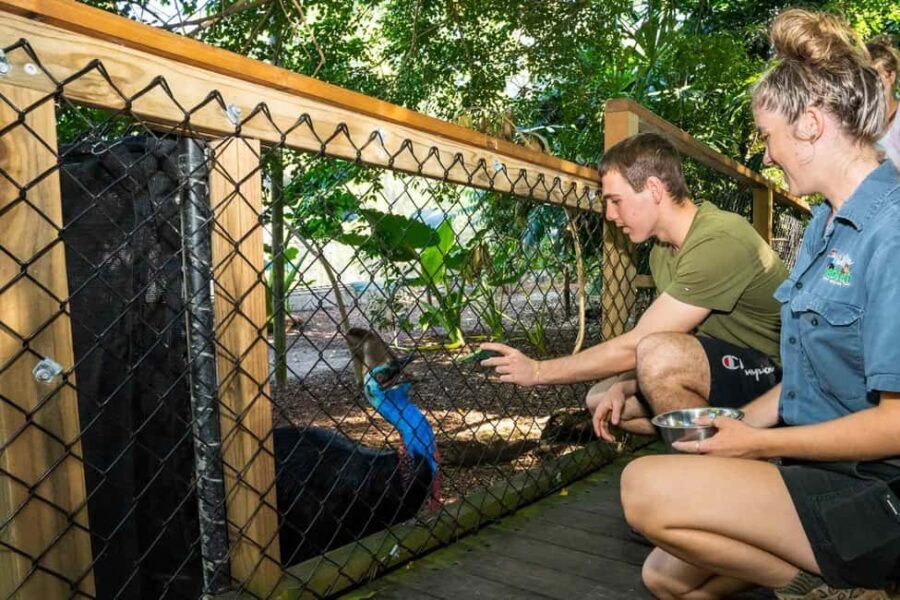 Cairns: Wildlife Habitat, Mossman Gorge, and Daintree Tour - The Overall Value
