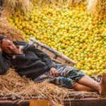 Calcutta Contrast Tour - Who Will Love This Tour?