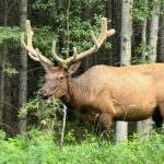 Calgary Airport to Canmore Private Transfer - The Sum Up: Who Will Appreciate This Service?