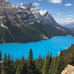 Calgary: Day Trip to Jasper with Lunch - The Practical Side: What to Know