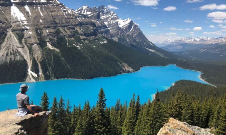 Calgary: Day Trip to Jasper with Lunch - The Practical Side: What to Know
