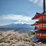 Calligraphy Experience in Shizuoka Fuji and Shizuoka Tea - Who Should Book This?