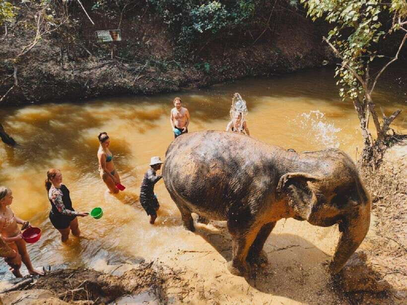 Cambodia Elephant Sanctuary and Banteay Srey Temple Tour - A Detailed Breakdown of the Itinerary
