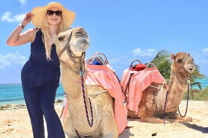 Camel Expedition and Beach Club In Riviera Maya - The Sum Up