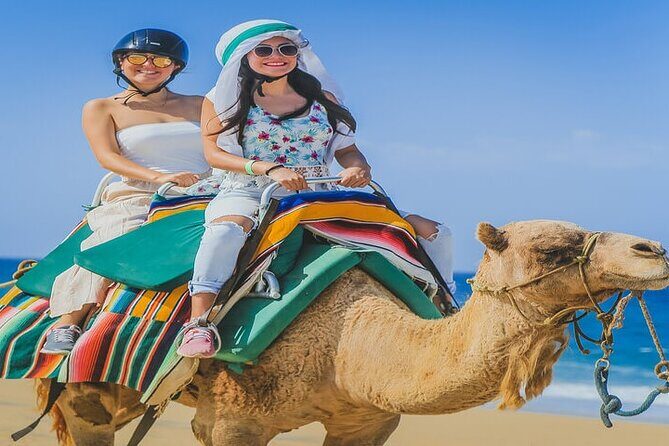 Camel Ride & ATV Combo in Migriño, Mexico - The Taste of Mexico: Tequila Tasting