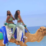 Camel Ride Beach and Desert Adventure. - The Camel Ride on the Beach: A Moment to Remember