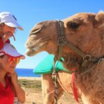Camel Ride & Encounter at Los Cabos - Who Will Love This Tour?