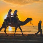 Camel Ride Experience in Los Cabos with Pick up and Lunch - Who This Tour Is Perfect For