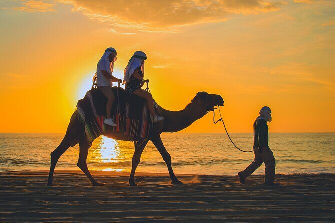 Camel Ride Experience in Los Cabos with Pick up and Lunch - Who This Tour Is Perfect For