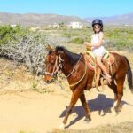 Camel Ride Tour in Los Cabos - The Allure of a Camel Ride in Los Cabos