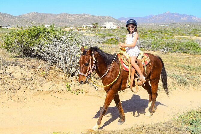 Camel Ride Tour in Los Cabos - The Allure of a Camel Ride in Los Cabos
