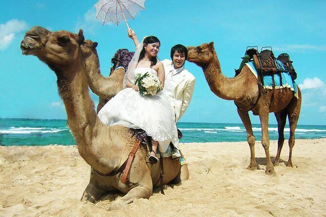 Camel Safari 30 minutes In White Sand Beach - Key Points