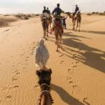 Camel safari in thar desert - Why This Tour Offers Great Value