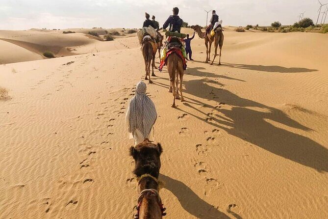 Camel safari in thar desert - Why This Tour Offers Great Value