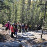 Cameron Falls Hiking Tour - The Sum Up: Worth Adding to Your Yellowknife Visit