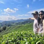 Cameron Highland Best Tour from Ipoh with Lunch ( Day Trip) - Authentic Experiences and Value for Money