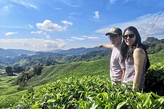 Cameron Highland Best Tour from Ipoh with Lunch ( Day Trip) - Authentic Experiences and Value for Money