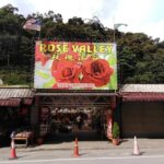 Cameron Highland Private Day Tour - Who Will Love This Tour?