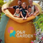Cameron Highland Private Day Tour From Ipoh - The Itinerary in Detail