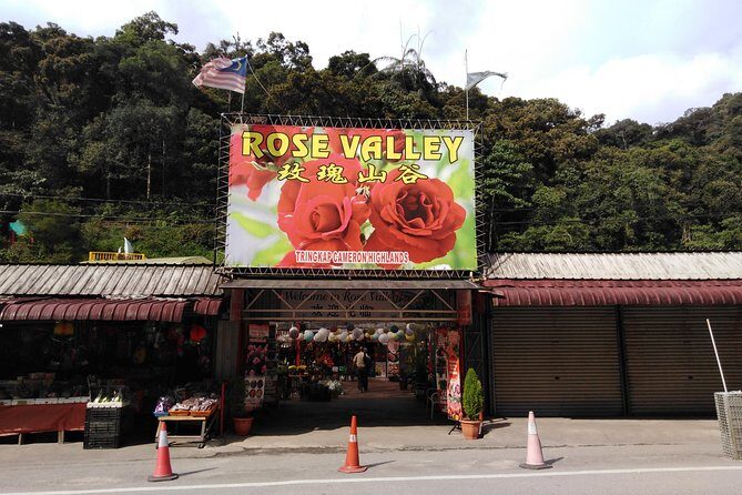 Cameron Highland Private Day Tour - Who Will Love This Tour?