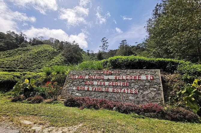 Cameron Highlands Fascinating Day Trip - Exploring Cameron Highlands: Tea Plantations
