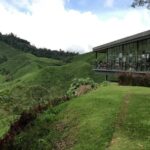 Cameron Highlands, Garden of Nature Full Day Private Guided Tour - The Verdict on the Tour’s Value