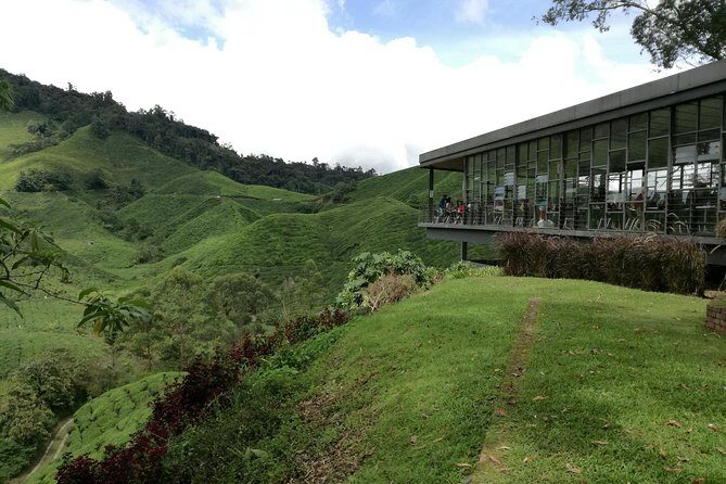 Cameron Highlands, Garden of Nature Full Day Private Guided Tour - The Verdict on the Tour’s Value